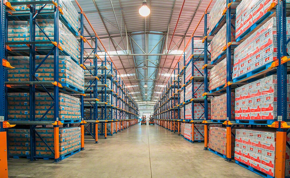 Maximum storage capacity at the Lacticínios Bela Vista facility ...