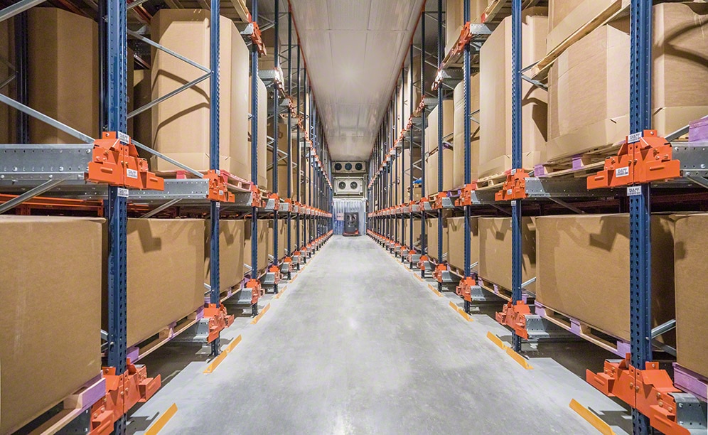 Solutions for storing frozen vegetables - Interlake Mecalux